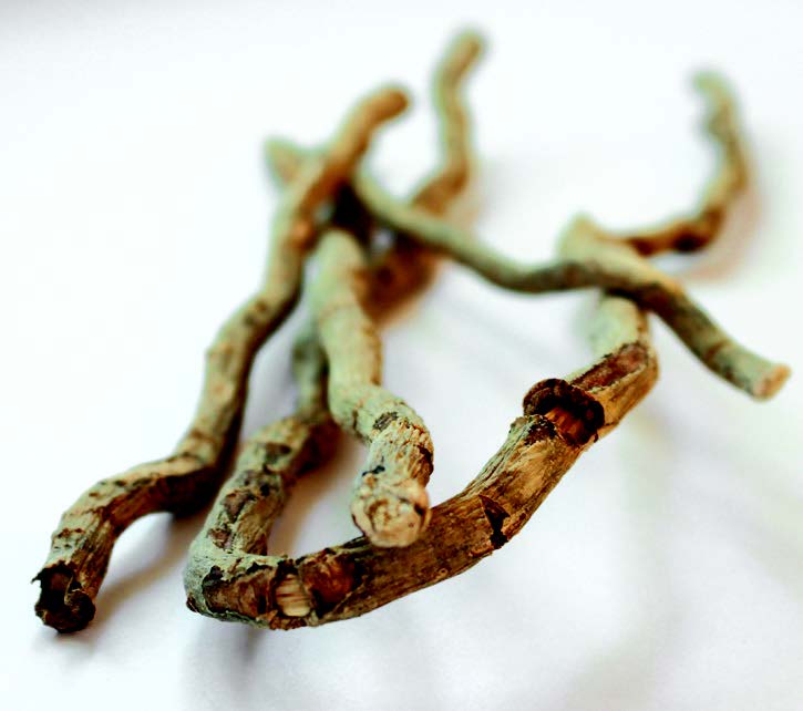 African Aphrodisiac "Warrior Root" Reboots Your Sex Drive